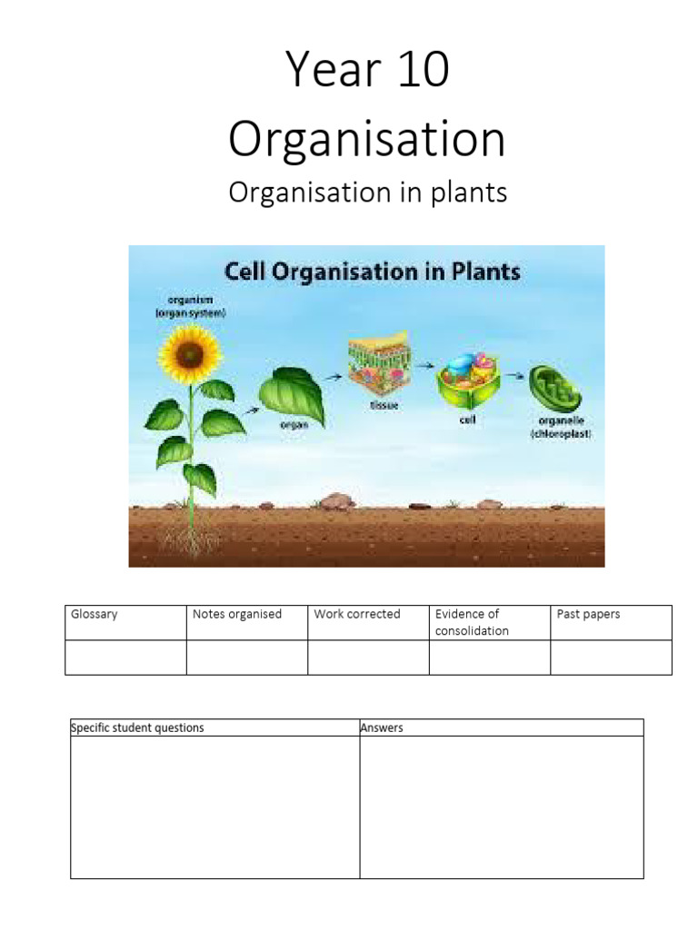 10.2 AQA Organisation in Plants | PDF | Leaf | Tissue (Biology)