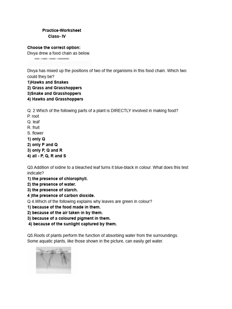 Practice Worksheet (Class 4) | PDF