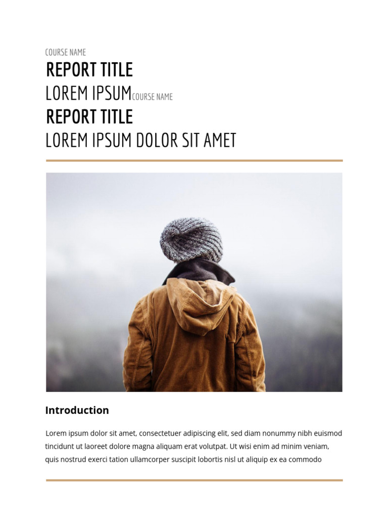 Lorem Ipsum Lorem Ipsum Dolor Sit Amet: Report Title Report Title | PDF
