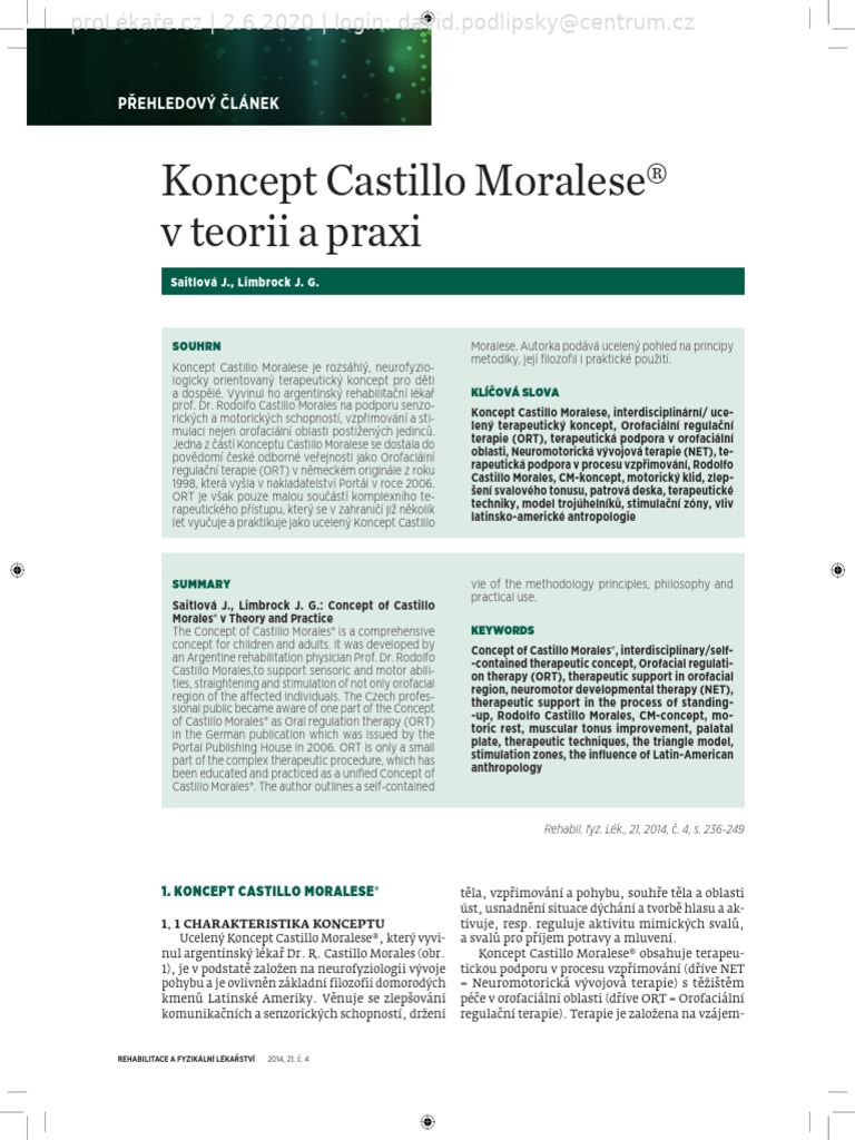 RFL 2014 4 Koncept Castillo Moralese R V Teorii A Praxi 50650 | PDF