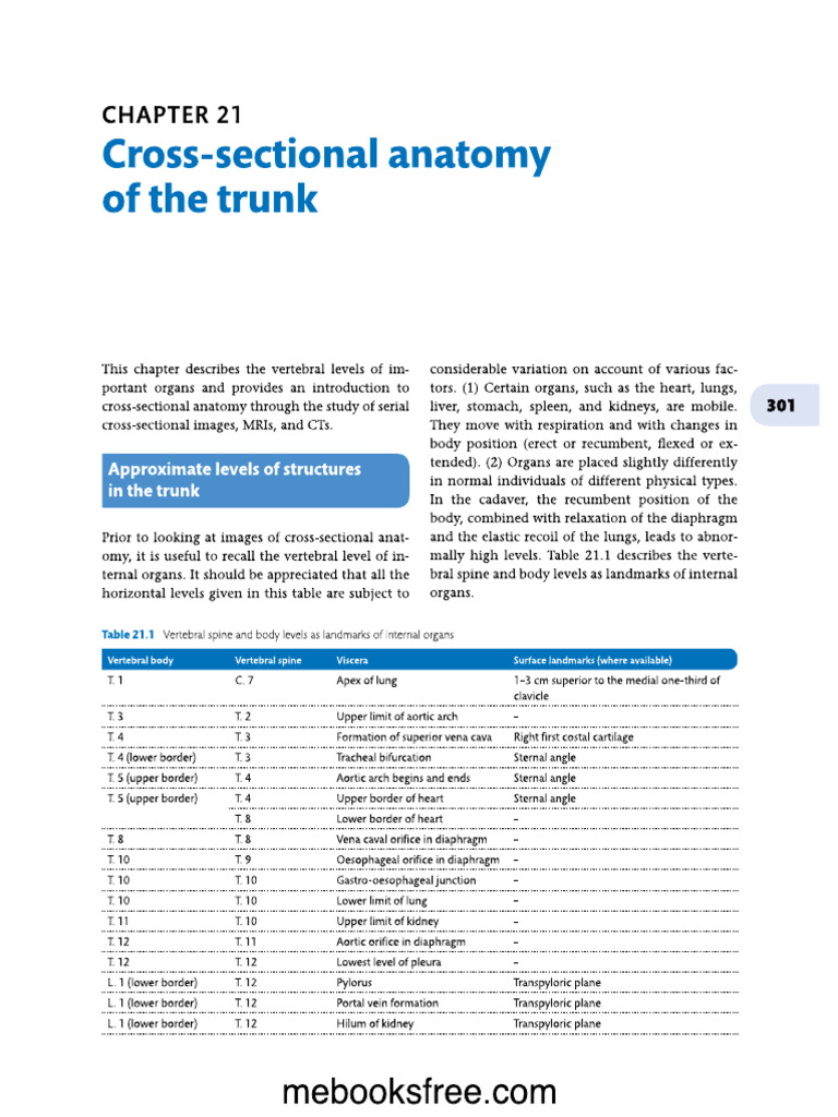 Sections of Trunk | PDF