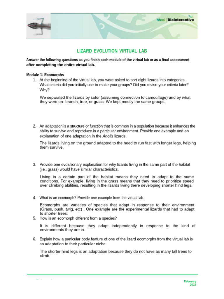 1COMPLETEDLizard Evolution Virtual Lab Student Worksheet | PDF ...