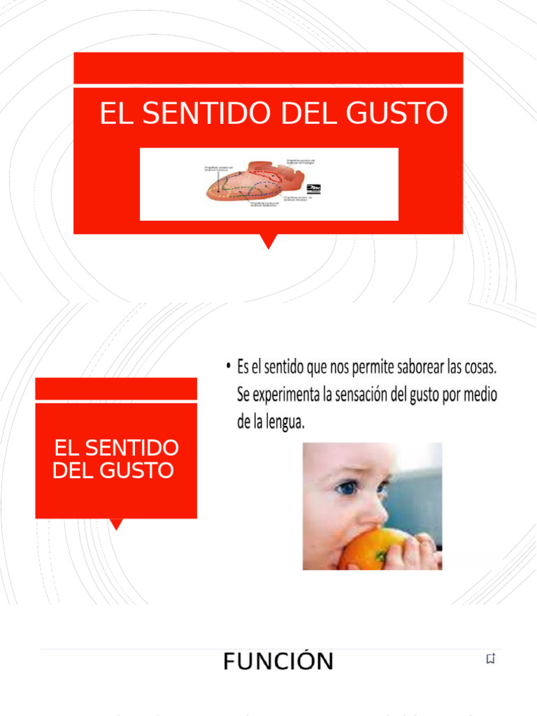 El Sentido Del Gusto | PDF