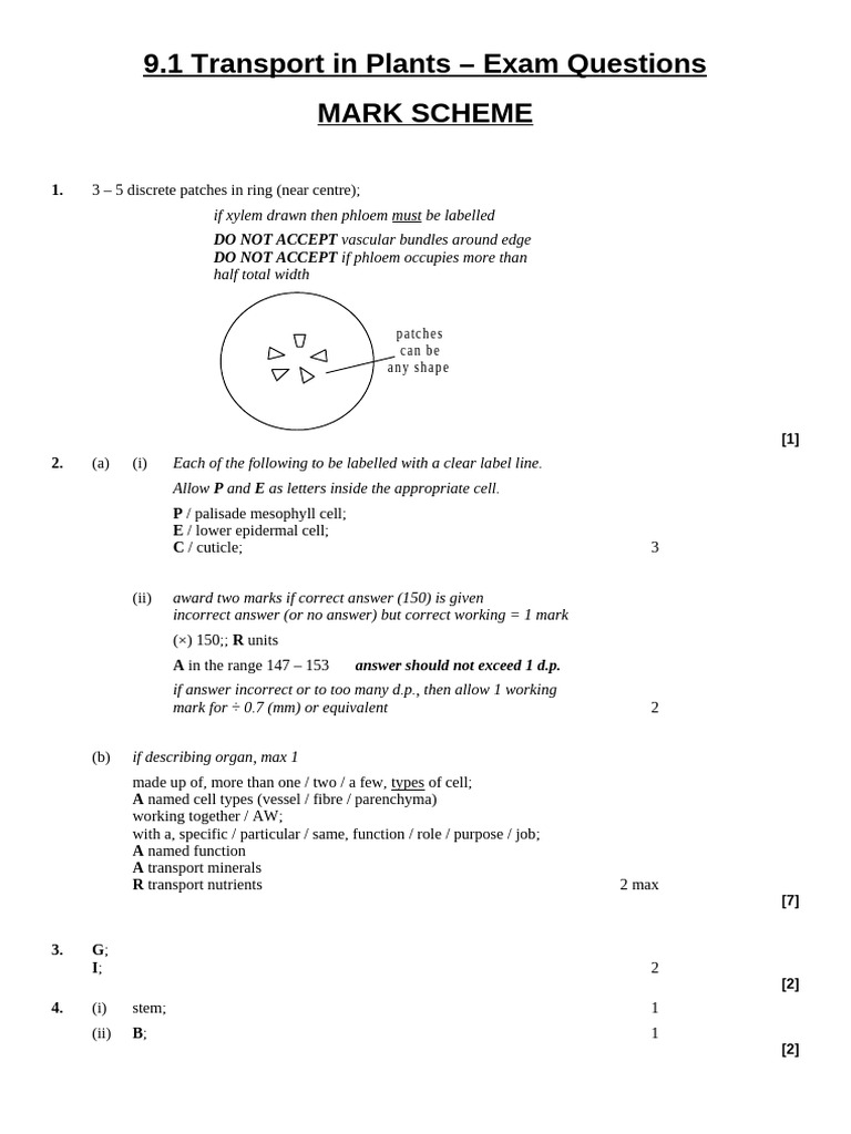 9.1 Exam Questions Mark Scheme | PDF | Anatomy | Histology