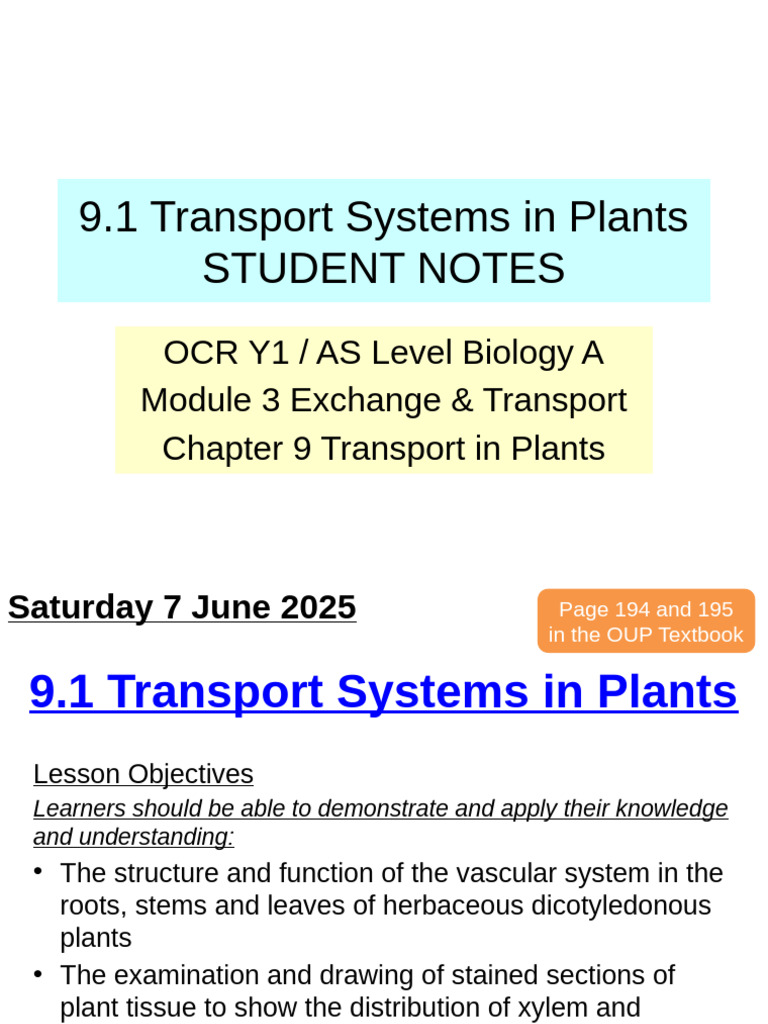 Plant Transport Systems Explained | PDF | Plant Stem | Tissue (Biology)