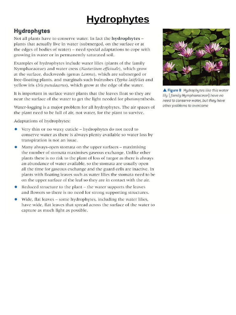 Hydrophytes Information | PDF