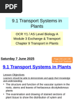 Plant Transport Systems Explained | PDF