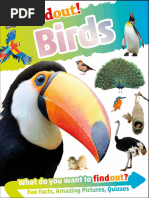 Hudhud: The Hoopoe Bird Explained | PDF | Birds | Ornithology