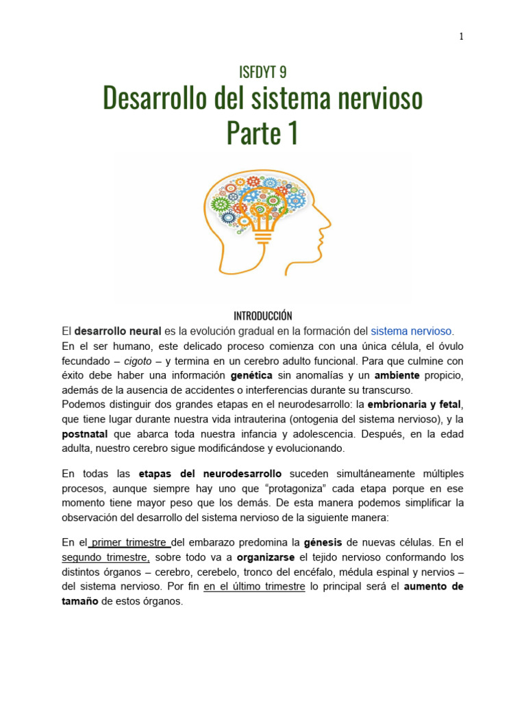 Bases Neurofisiologicas Del Aprendizaje | PDF | Cerebro | Sistema nervioso