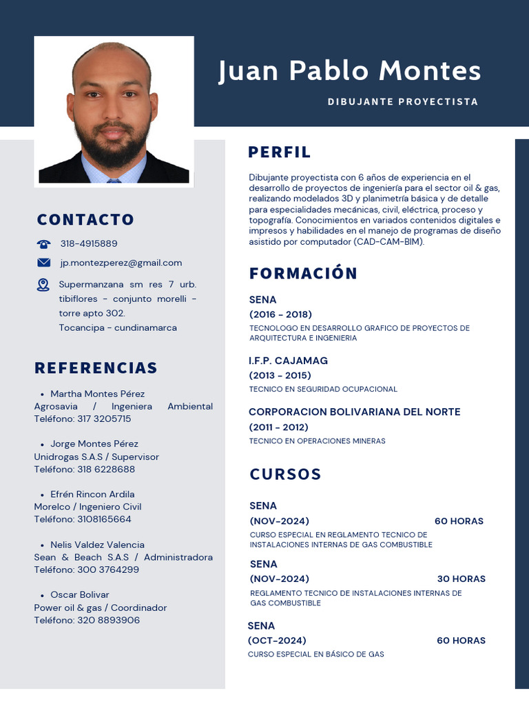 CV Juan Montes | PDF | Ingeniería