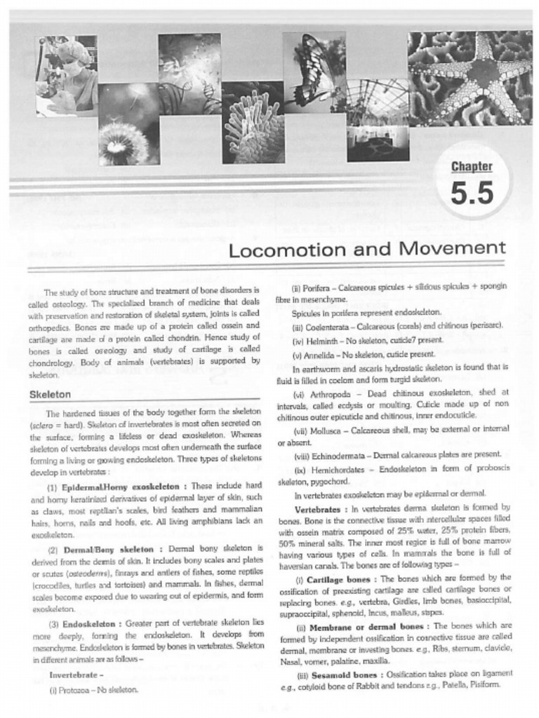 Locomotion | PDF