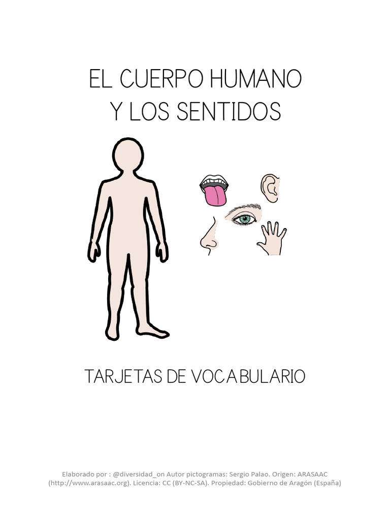 Tarjetas De Vocabulario El Cuerpo Humano Pdf Esqueleto Mano