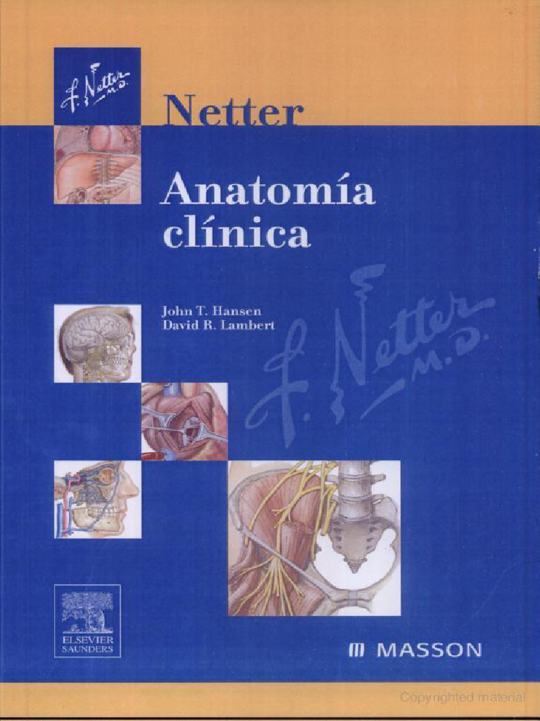 Anatomía Clinica - Frank Netter | PDF