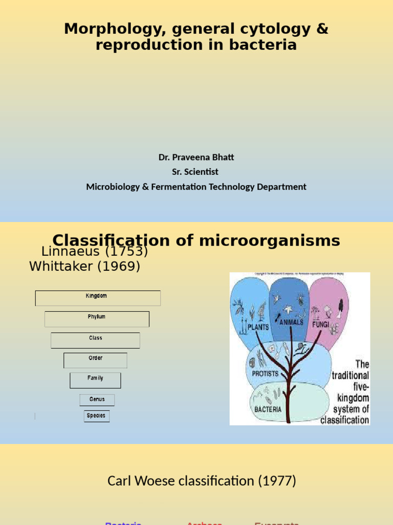 Bacterial Morphology and Reproduction Guide | PDF | Cell (Biology ...