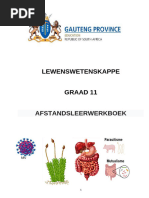 3 Voedselkettings en Voedselwebbe | PDF