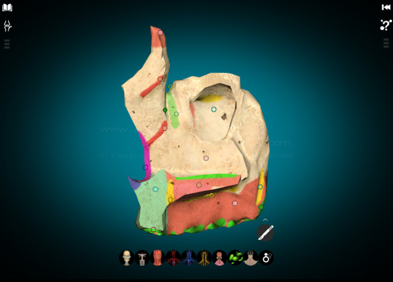 WebGL Player 4 | PDF