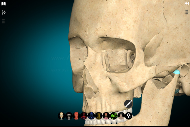 WebGL Player 2 | PDF