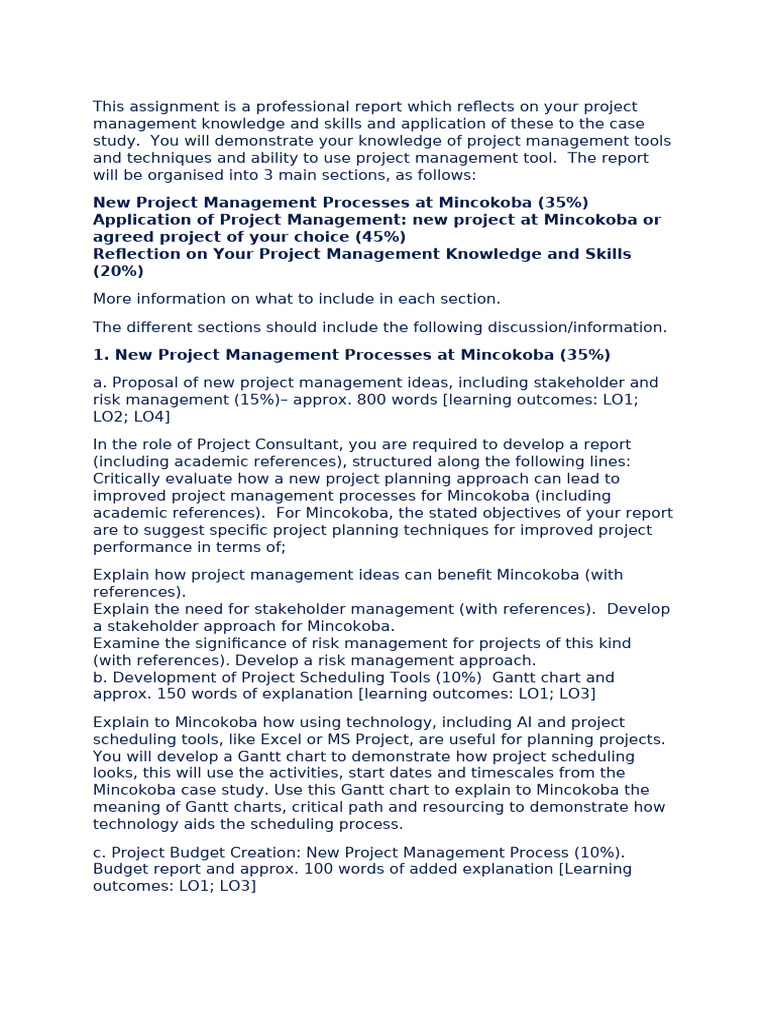 Assignment Projet Managment | PDF | Project Management | Cognition