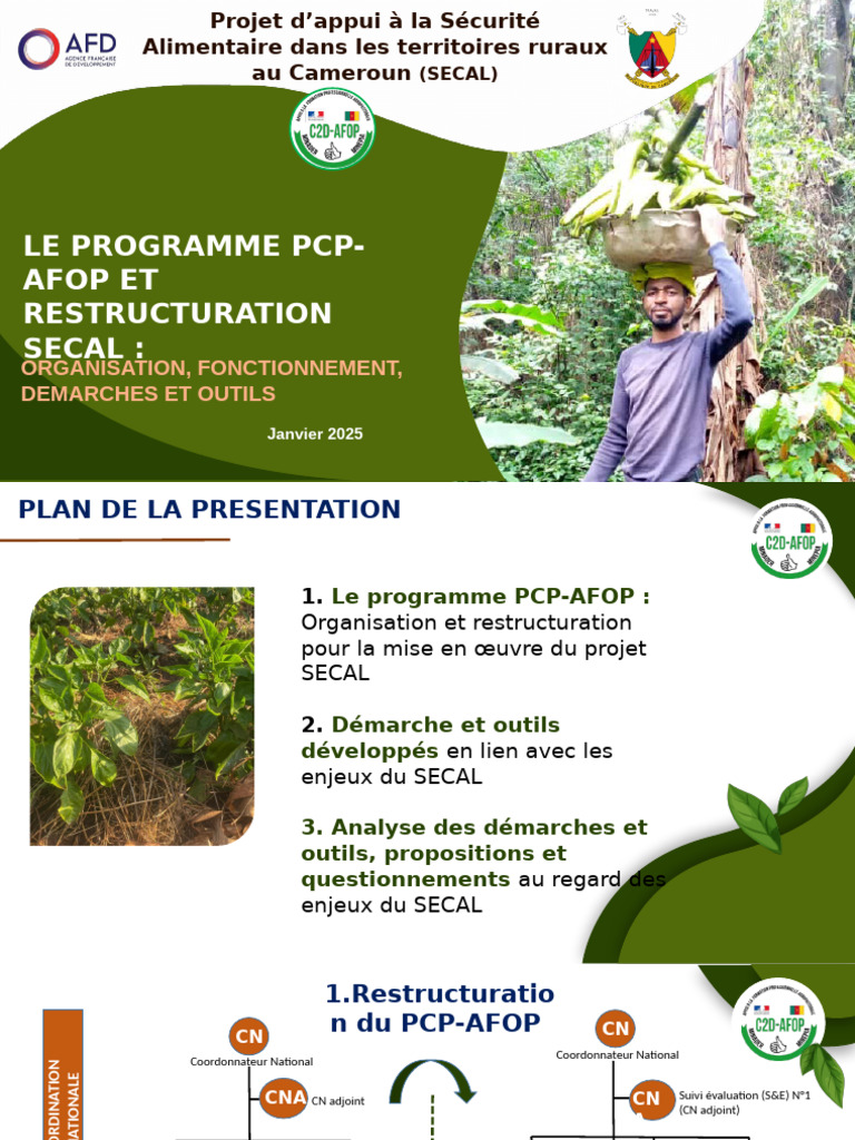 Programme SECAL et AFOP au Cameroun | PDF | Pédagogie | Agroécologie