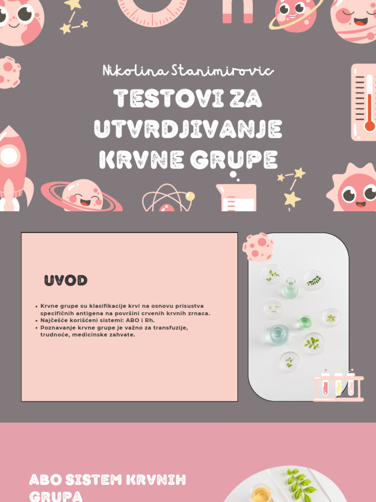 Project Presentation Pdf Pdf