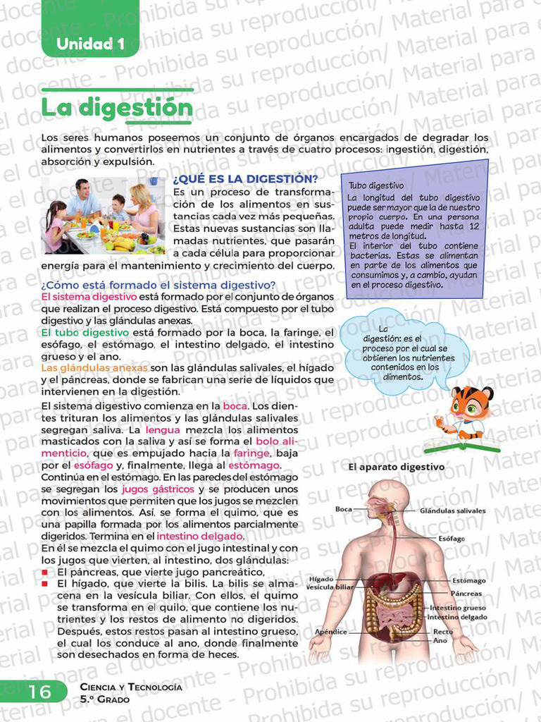 Ciencias 5° Grado - Semana 2 | PDF