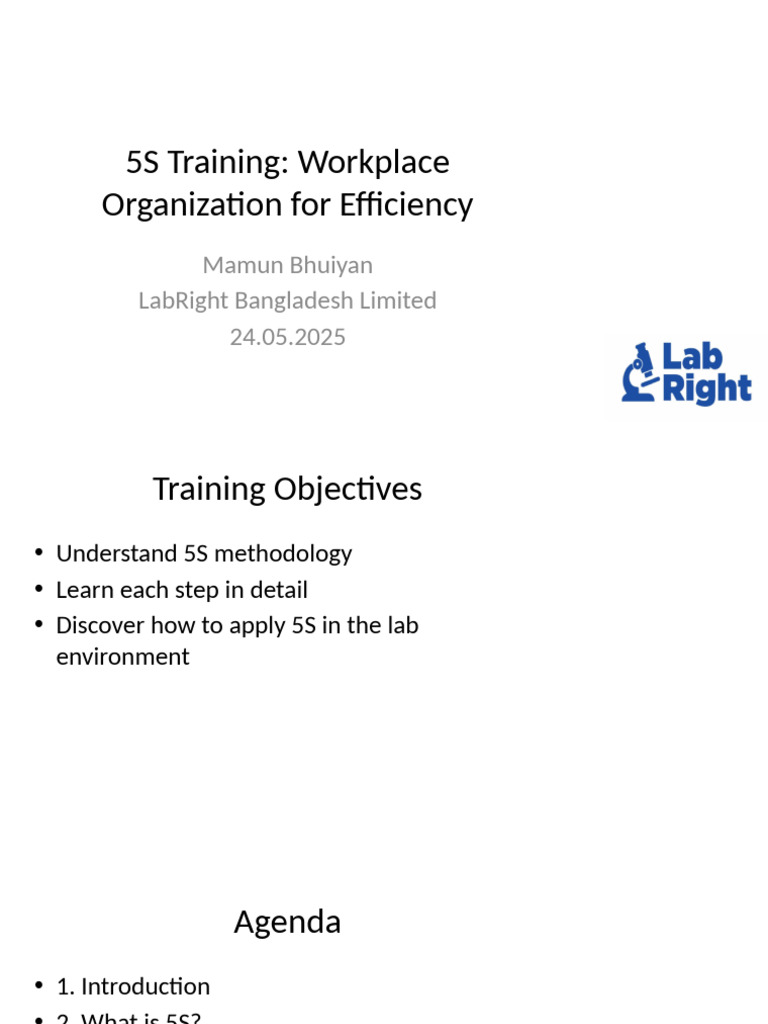 5S Training for Lab Efficiency | PDF