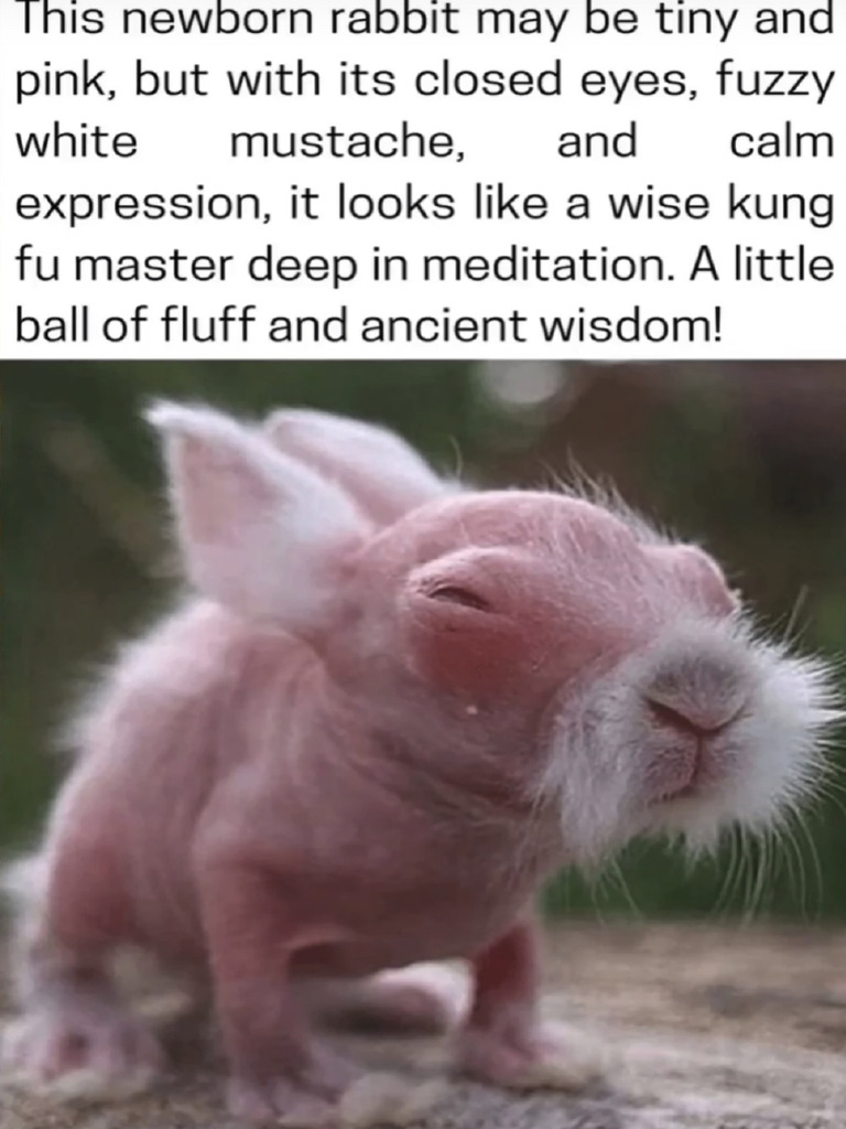Baby | PDF