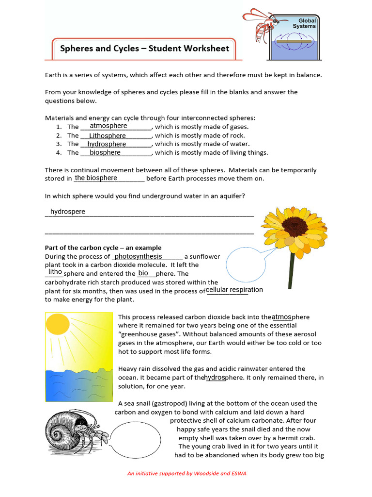 Spheres and Cycles - Student Worksheet | PDF | Carbon Cycle | Carbon