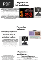 Depósito de Pigmentos Endógenos y Exógenos | PDF | Biología | Medicina ...