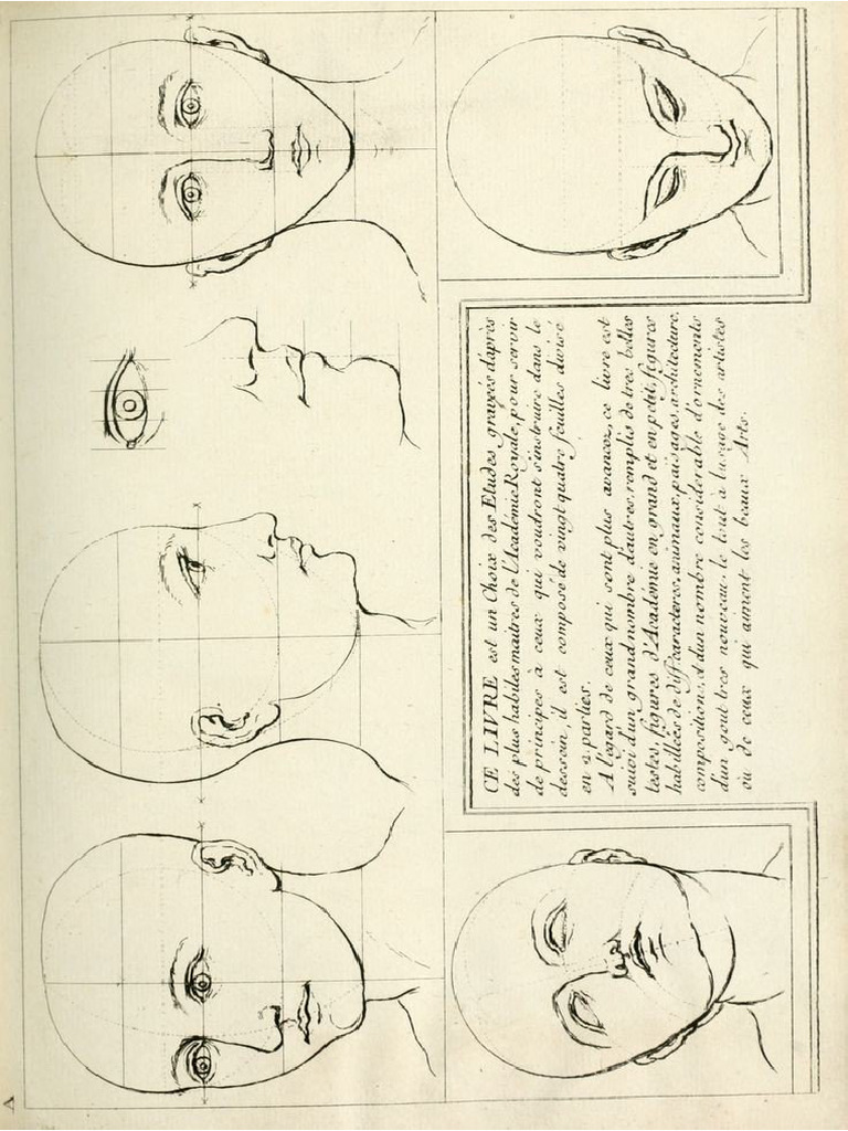The First Head Drawing | PDF