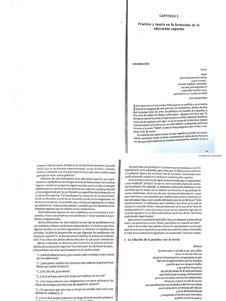 Steiman Cap. 2 | PDF