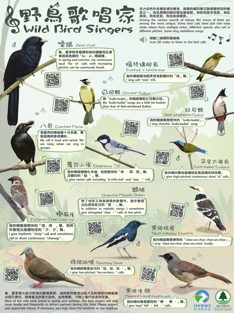 Wild Bird Singers Poster | PDF | Ornithology | Musicology