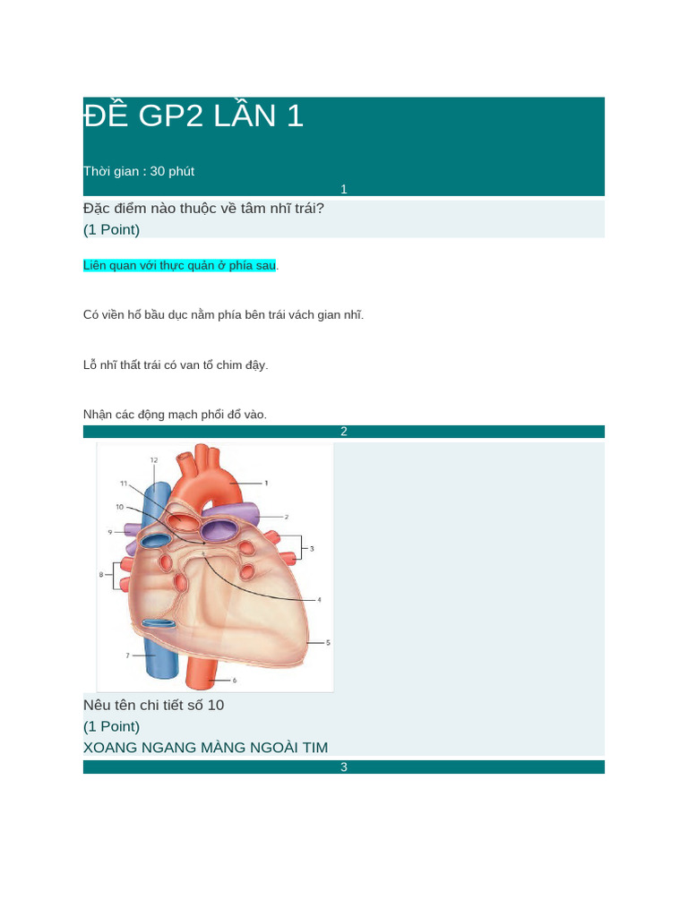 Đề Gp2 Lần 1: Đặc điểm nào thuộc về tâm nhĩ trái? | PDF