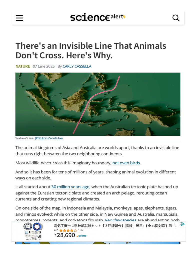 There's An Invisible Line That Animals Don't Cross. Here's Why. | PDF ...