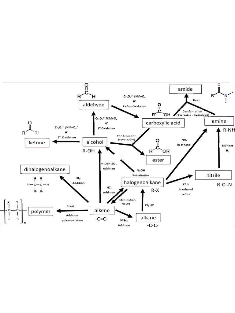Organic Synthesis Pathways | PDF