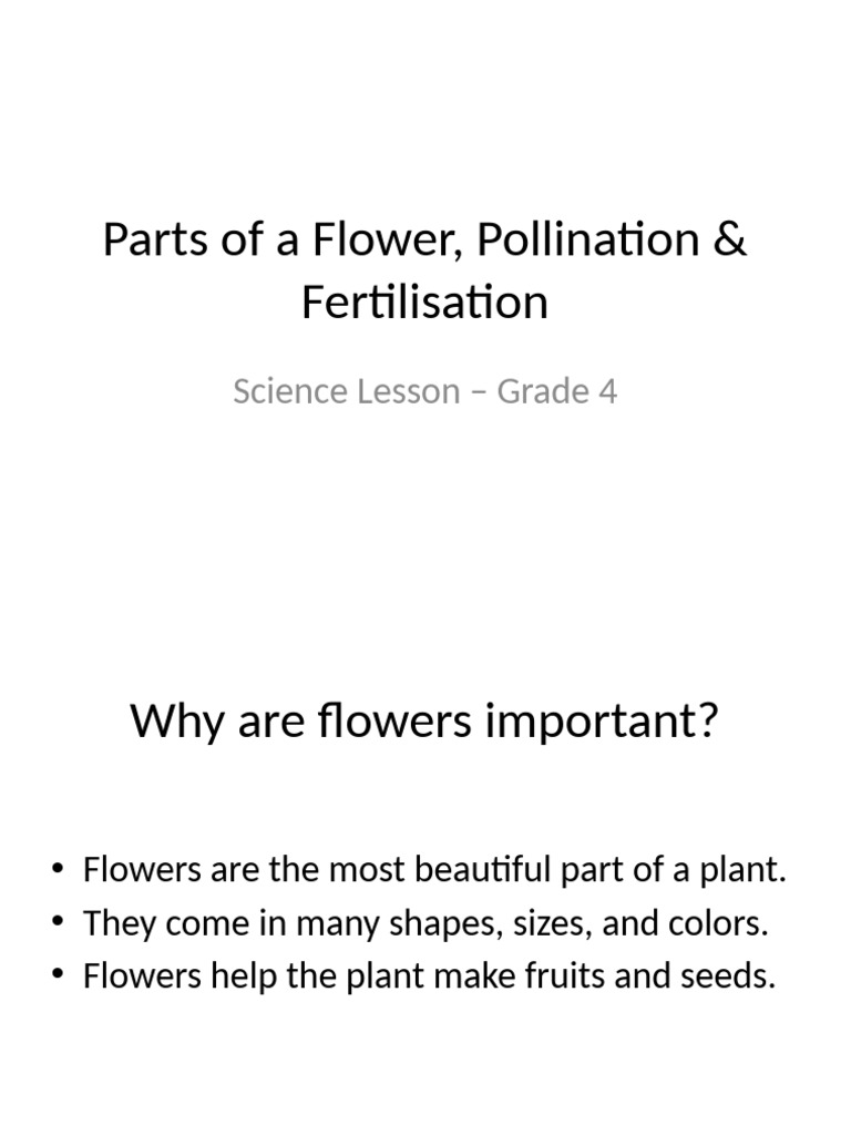 Flower Anatomy and Reproduction Guide | PDF