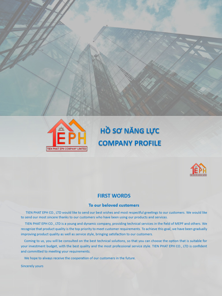 Tien Phat EPH - Company Profile 2024 | PDF