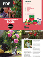 Complete Guide to Growing Roses | PDF | Garden Plants | Horticulture