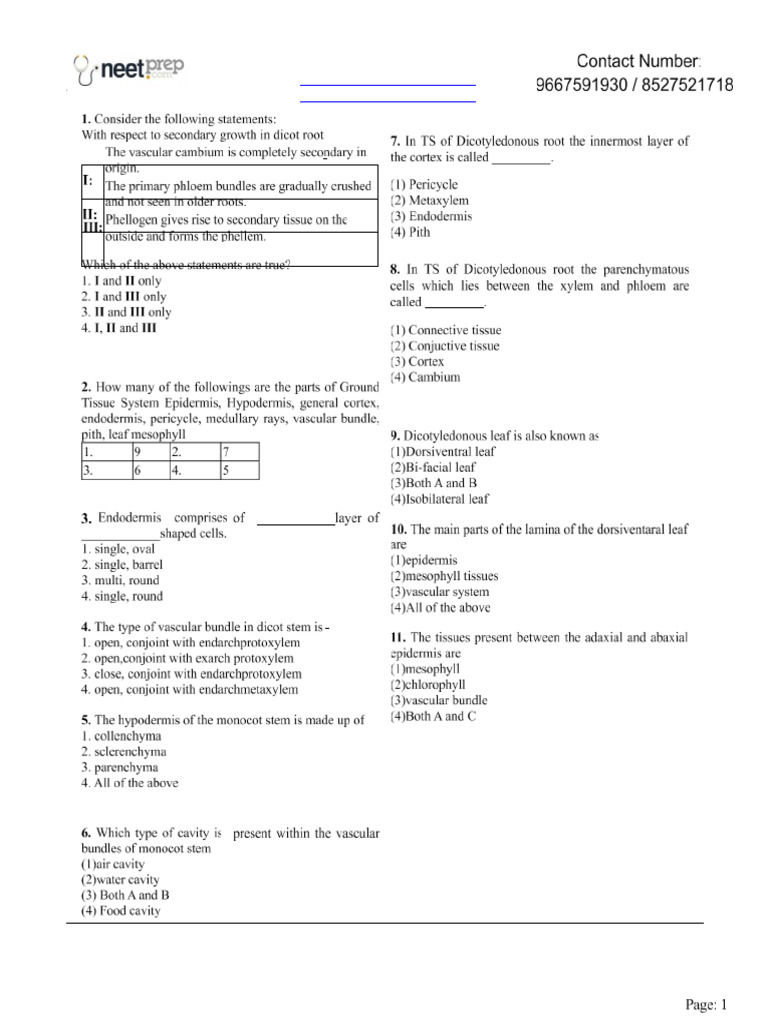 Anatomy of Flowering Plant Part-2 | PDF