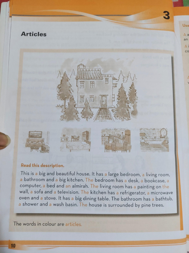 G6 English Grammar Ch3 Articles | PDF | Input/Output | Noun