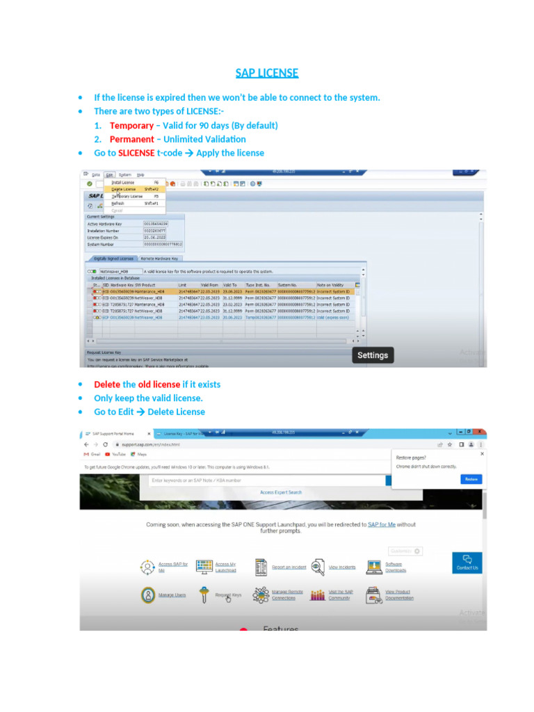 SAP License Management Guide | PDF