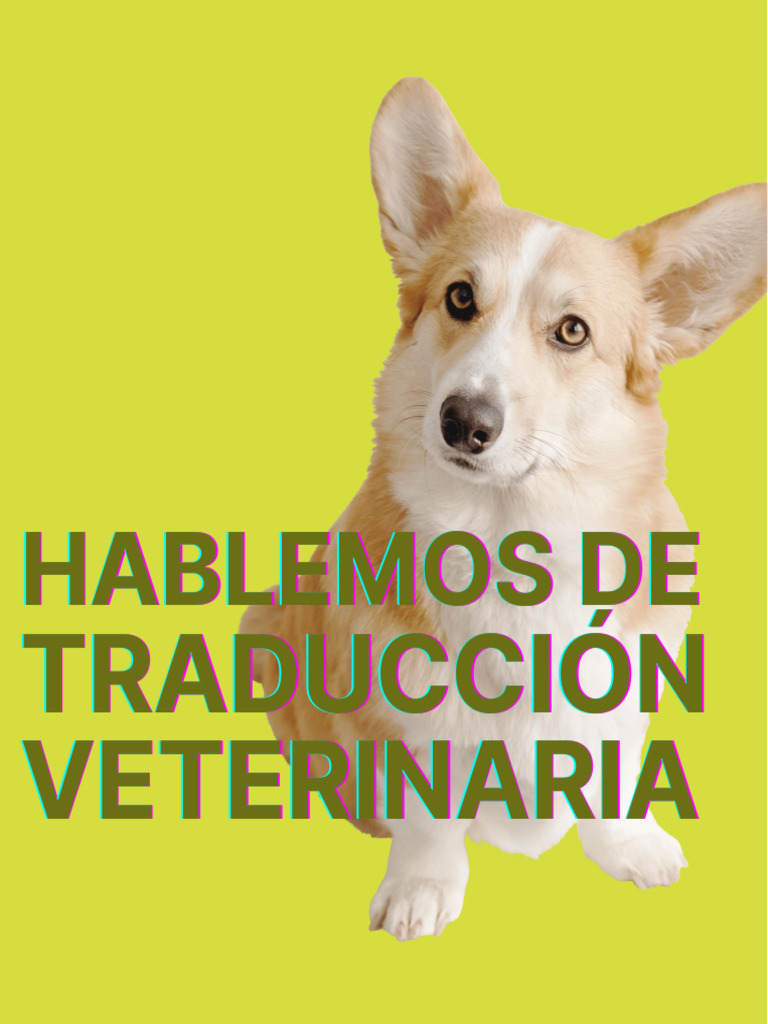 Traducci N Veterinaria 1739908178 | PDF