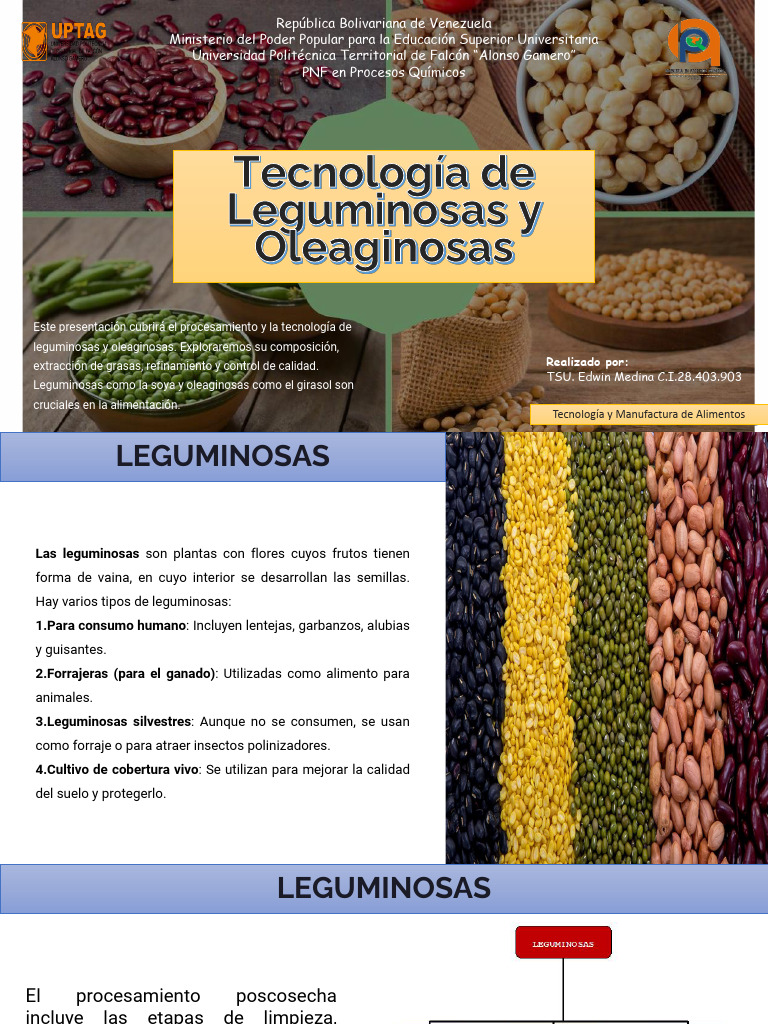 Tecnología de Leguminosas y Oleaginosas | PDF | Petróleo | Legumbre