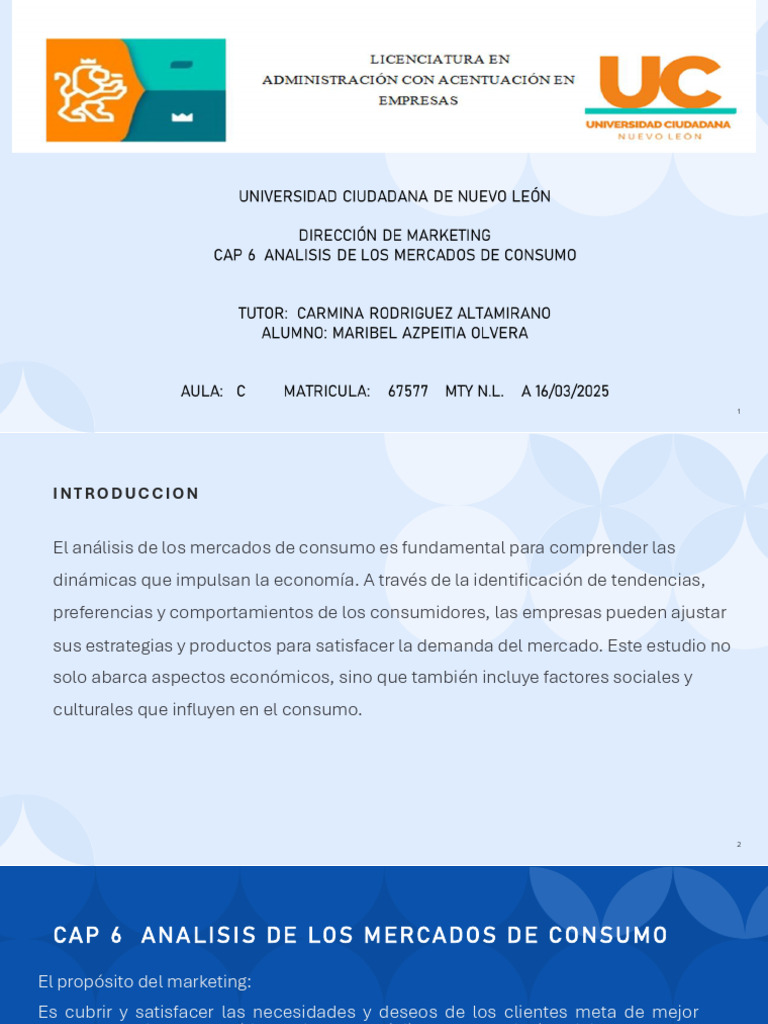 Presentacion Cap 6 | PDF | Marketing | Comportamiento