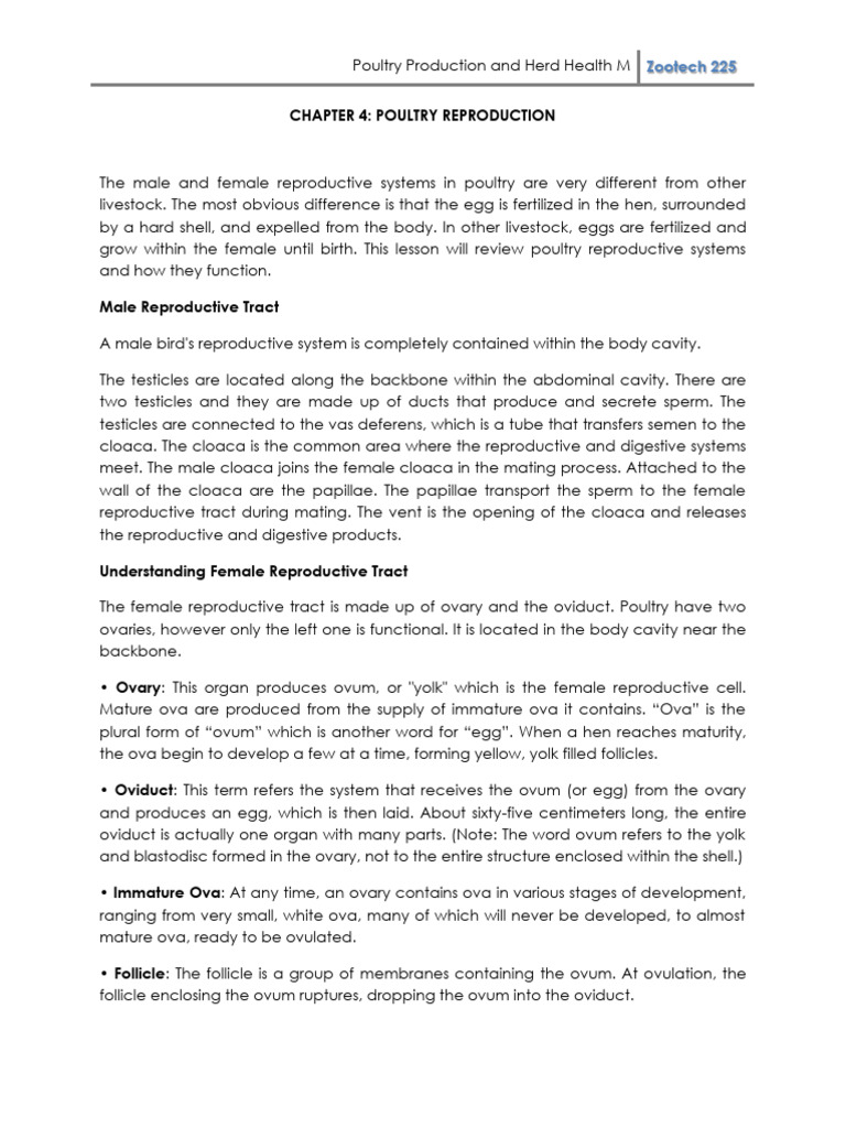 Poultry Reproduction Explained | PDF | Reproductive System | Egg