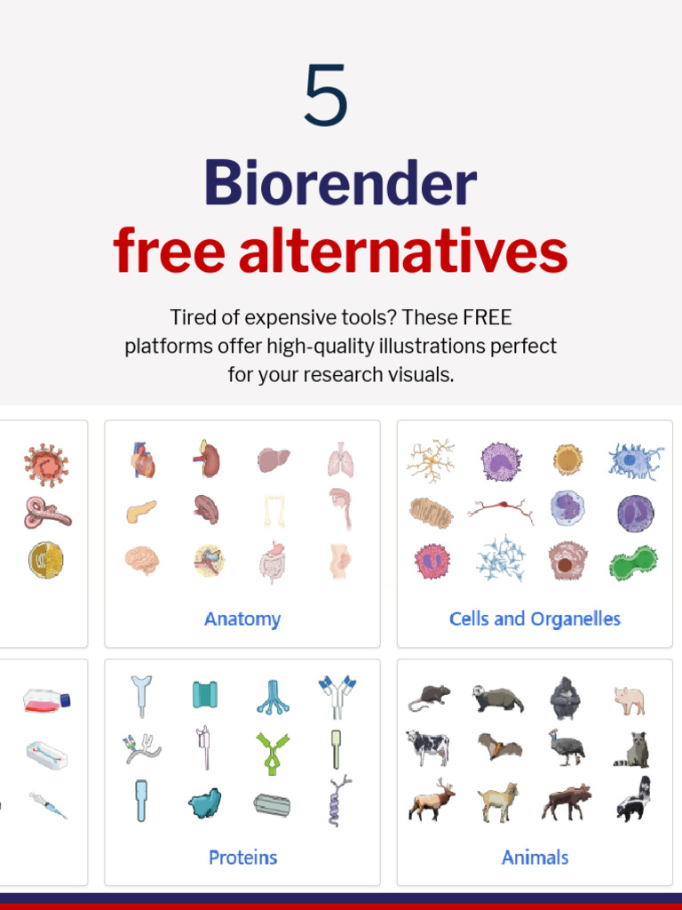 Free Alternatives to Biorender | PDF