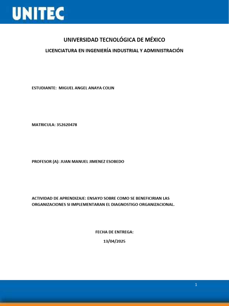 Entregable2 - Anaya Miguel Diagnostico Internacional | PDF | Business