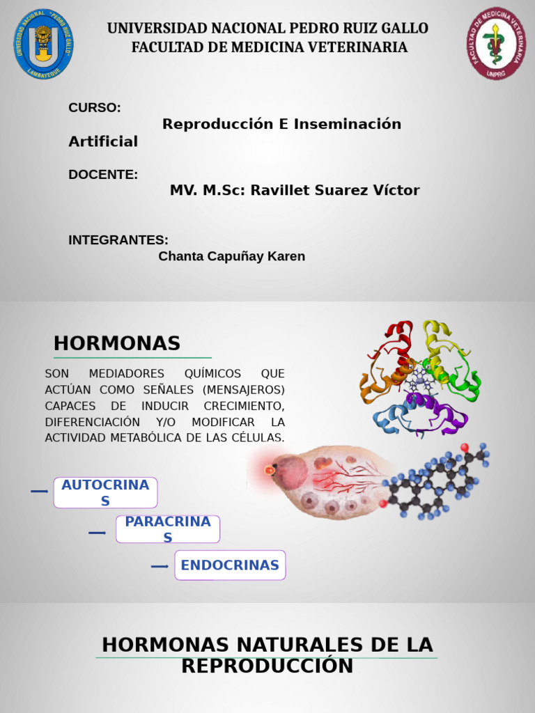Hormonas Naturales y Sintéticas Disponibles en El Mercado (1) | PDF ...