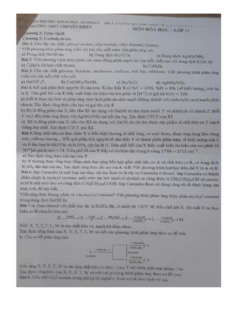 5 bản - Doc10 | PDF