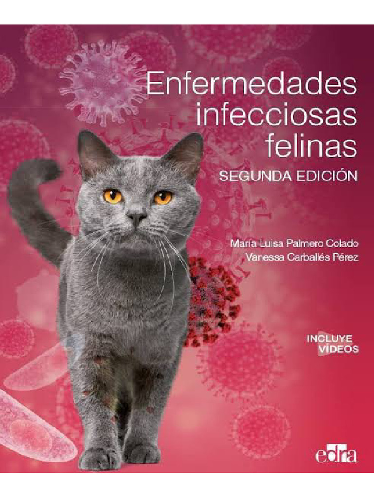 Image To PDF 20250607 22.47.36 | PDF